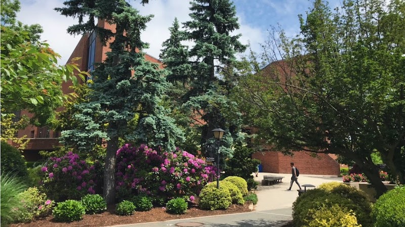 College SAT Requirements 2025 | Complete University Guide