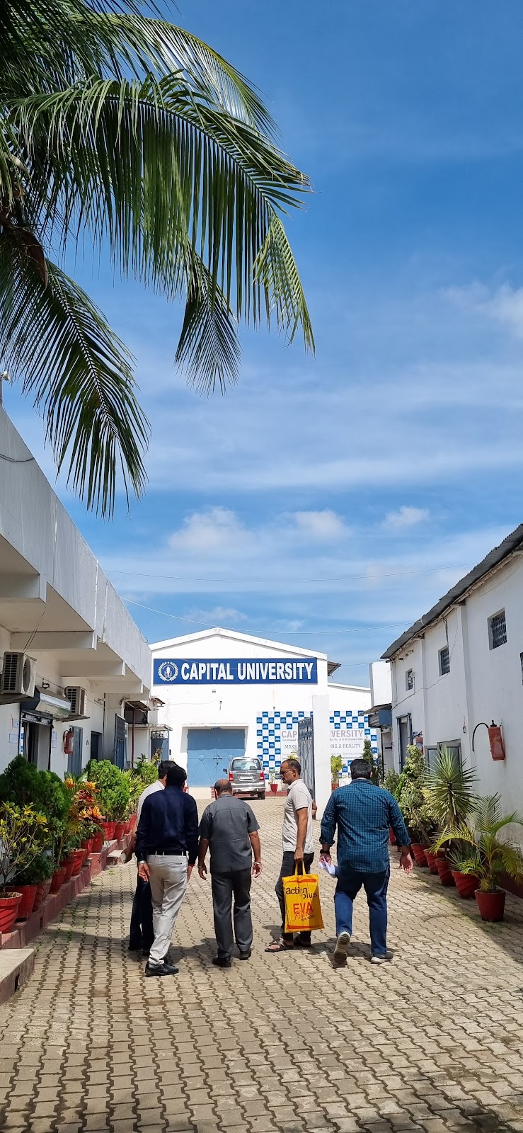 University Of North Florida SAT Requirements 2025: Scores & Admission Guide