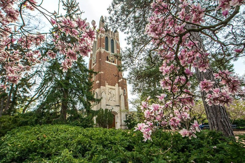 Michigan State University SAT Requirements 2025: Scores & Admission Guide