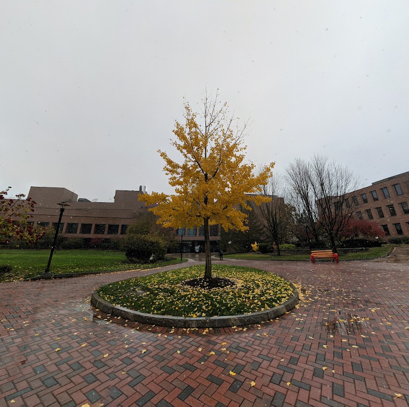 Rochester Institute Of Technology SAT Requirements 2025: Scores ...