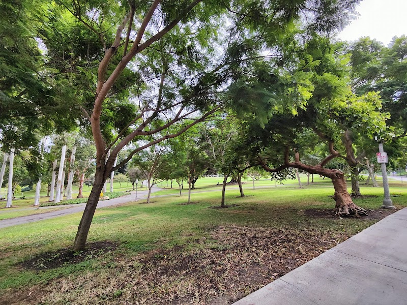 University Of Texas Austin SAT Requirements 2025: Scores & Admission Guide