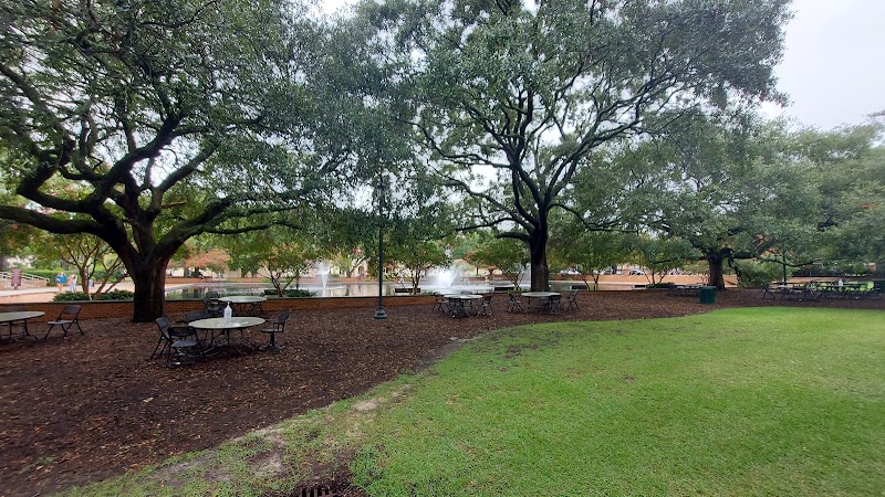 University Of South Carolina SAT Requirements 2025: Scores & Admission ...